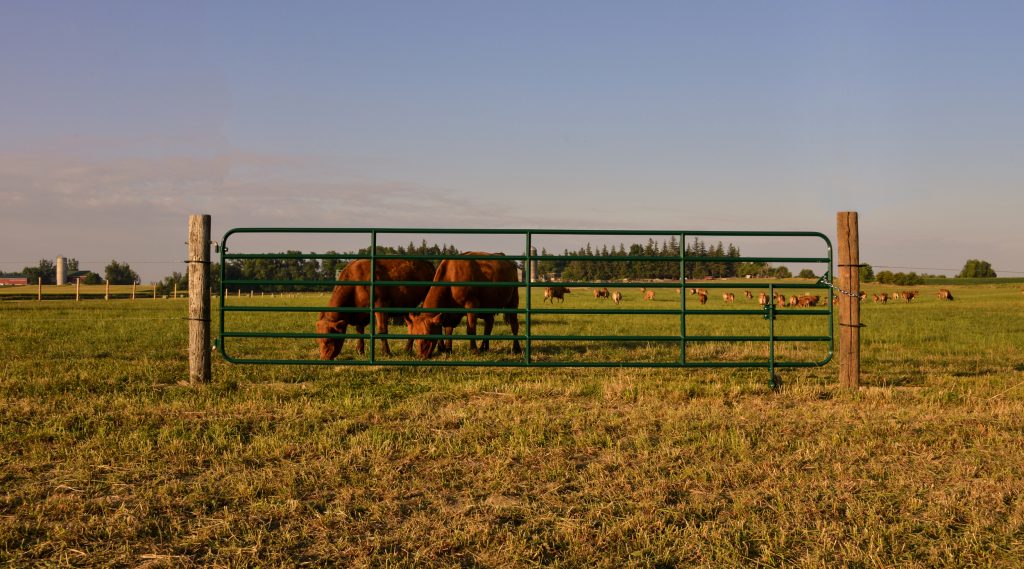 Diamond Bar Gates - Good Nature Eco Farm
